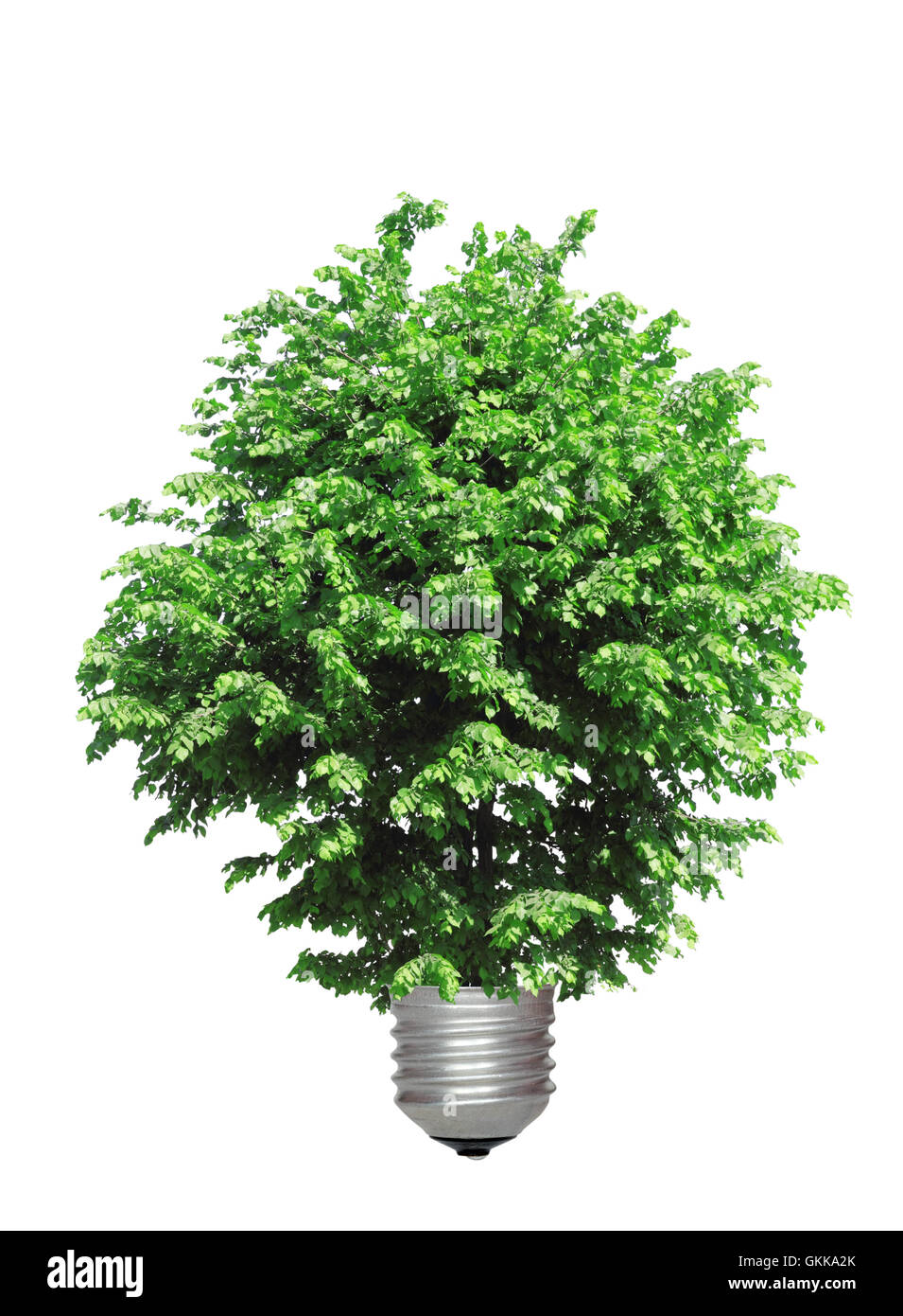 Electric bulb base hi-res stock photography and images - Alamy