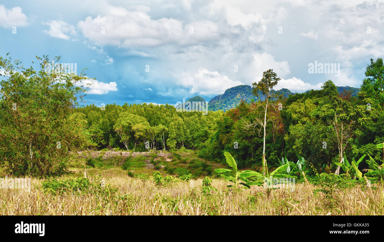 Boscage hi-res stock photography and images - Alamy