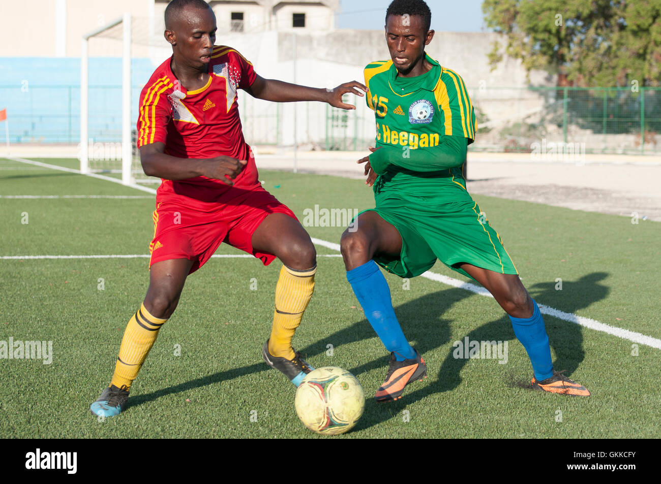 On January 31, 2014, Heegan and Horseed football clubs competed in a ...