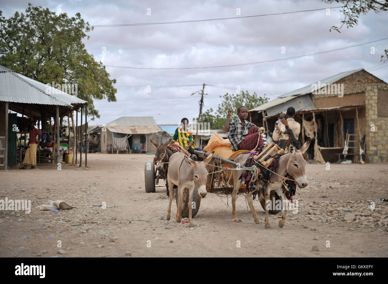 Two boys carry water on the back of their donkey carts in the town of ...