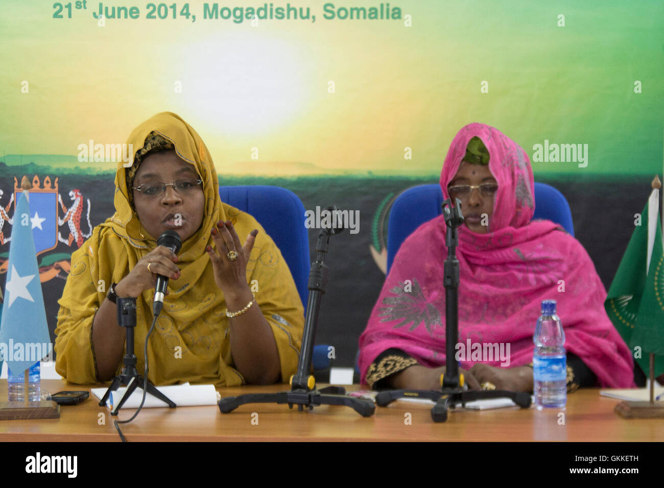 On June 21, 2014, Somali Member of Parliament Maryan Aways delivered a ...