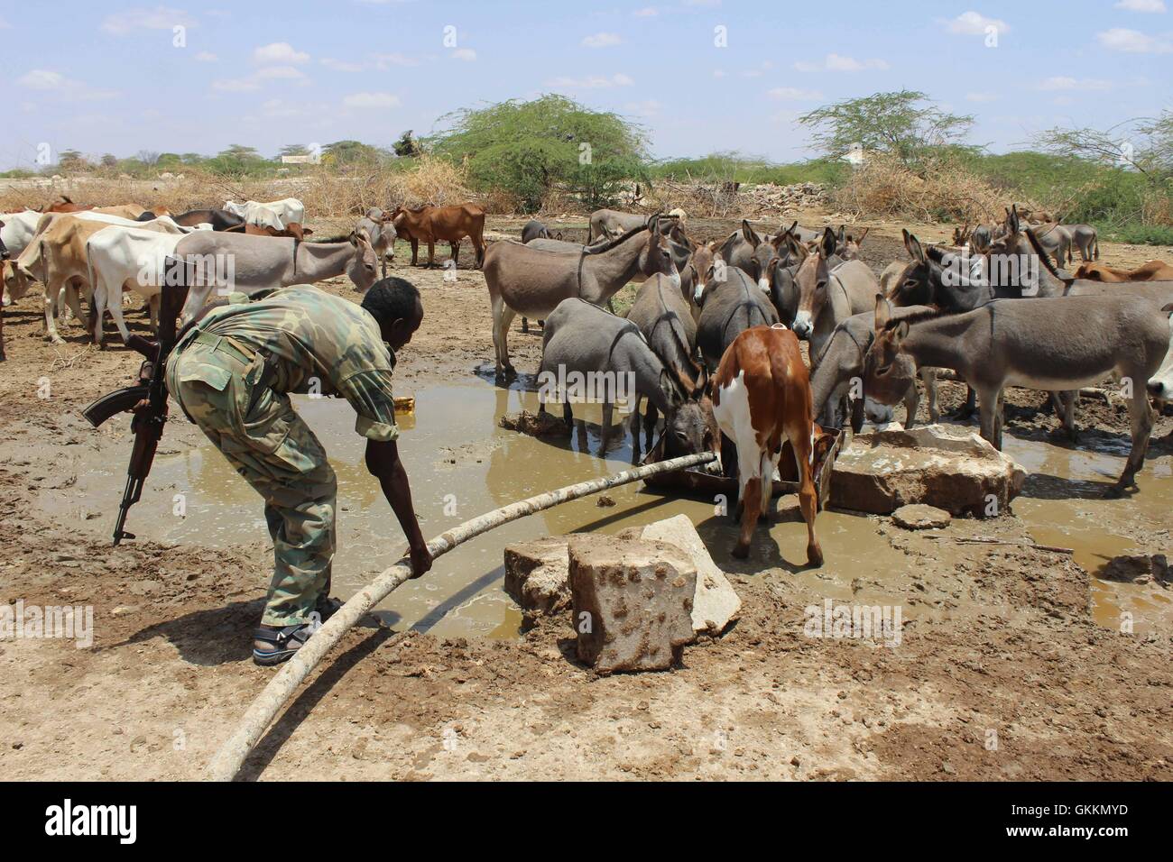 On September 5, 2015, a soldier from the Somali National Army assisted ...