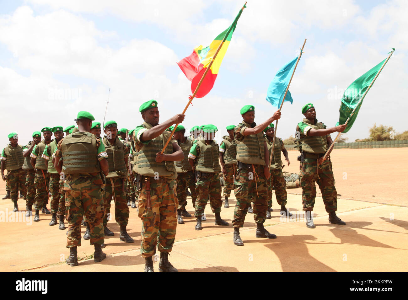 On January 3, 2016, the first group of Ethiopian National Defence ...