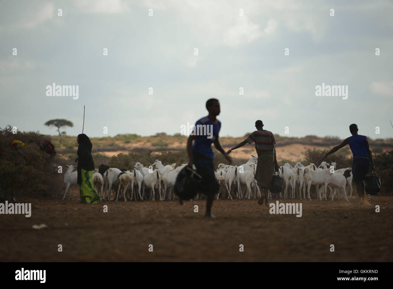 Rural somalia men hi-res stock photography and images - Alamy