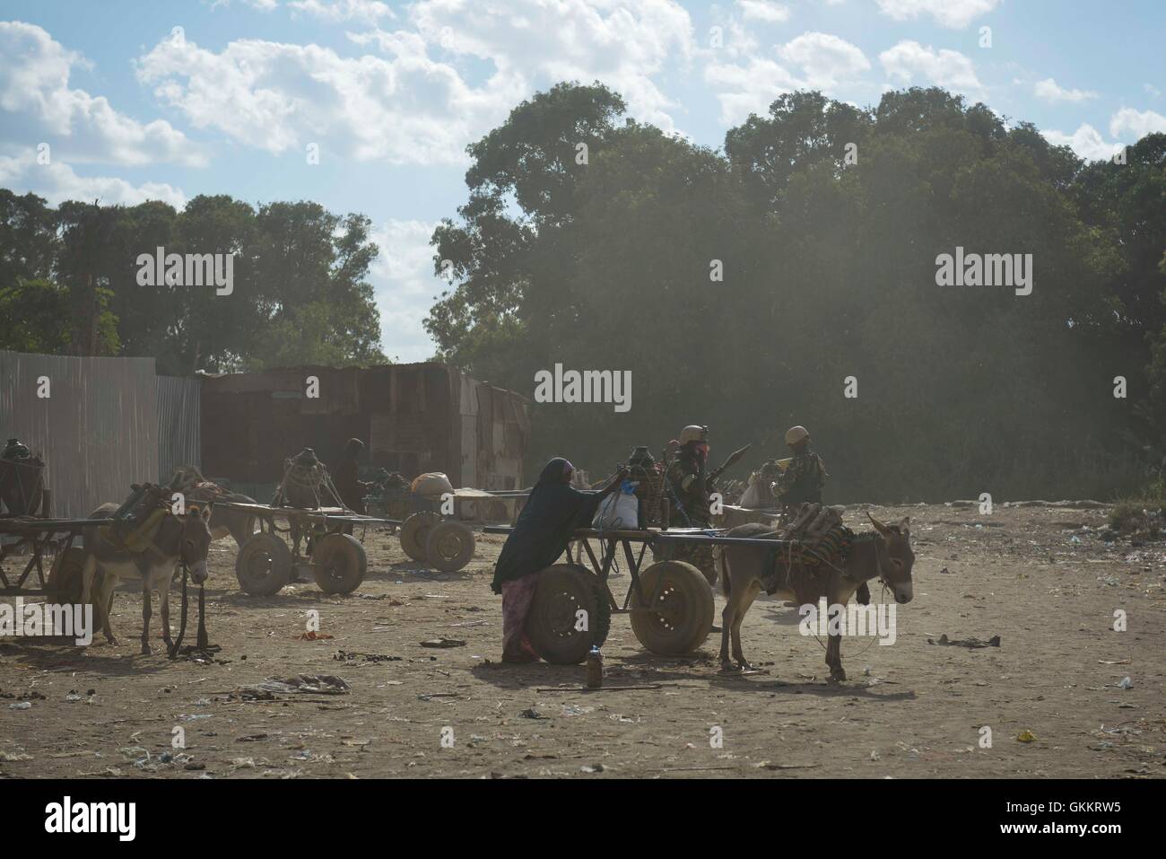 Somali woman with donkey hi-res stock photography and images - Alamy