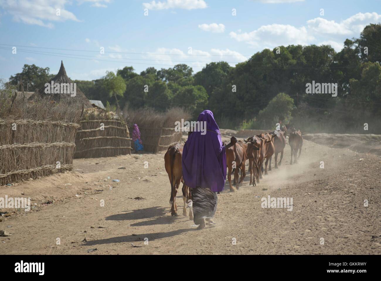 Africa cattle well hi-res stock photography and images - Alamy