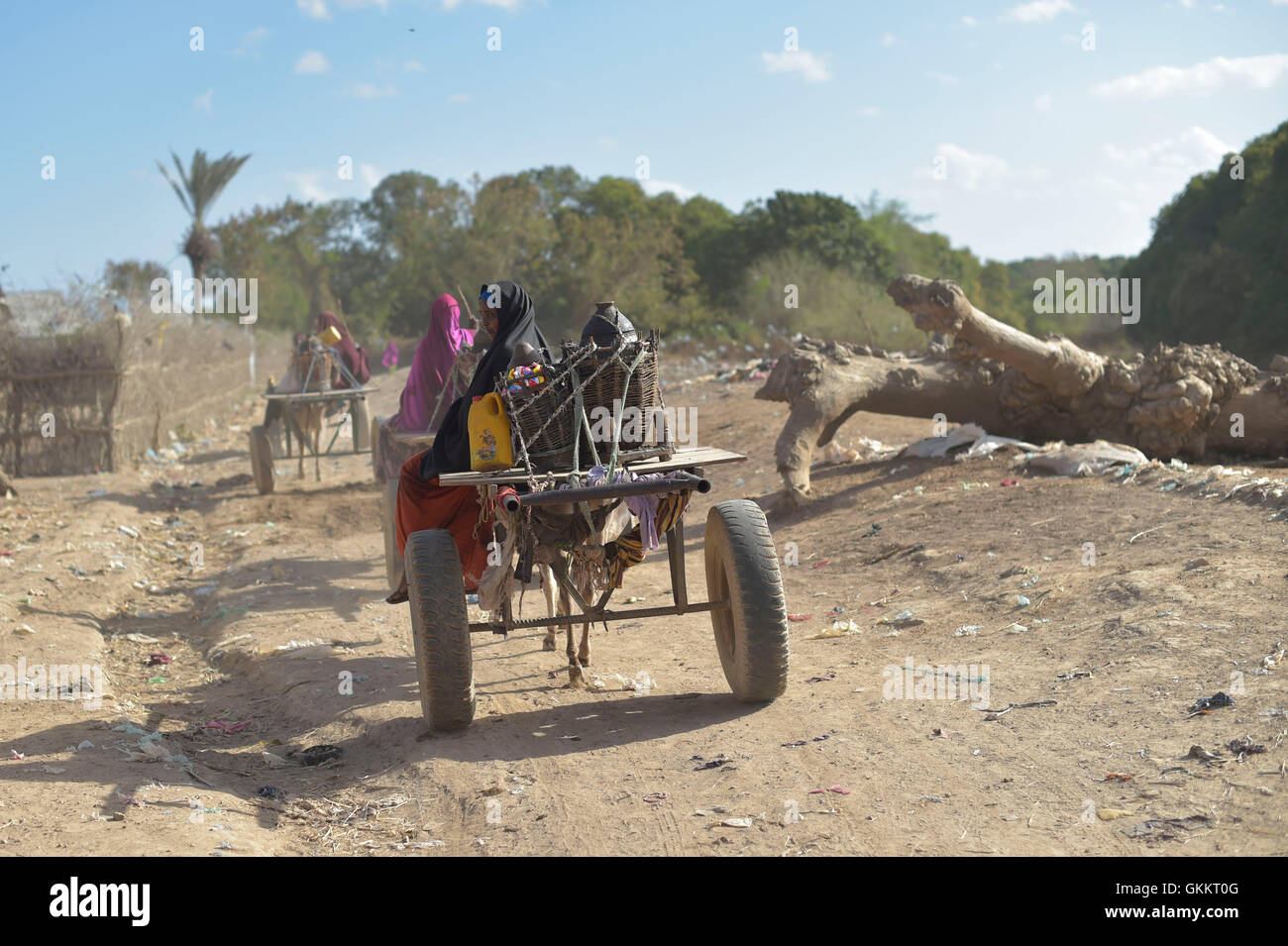 Women transport milk using donkey carts through Mahaday, Middle ...