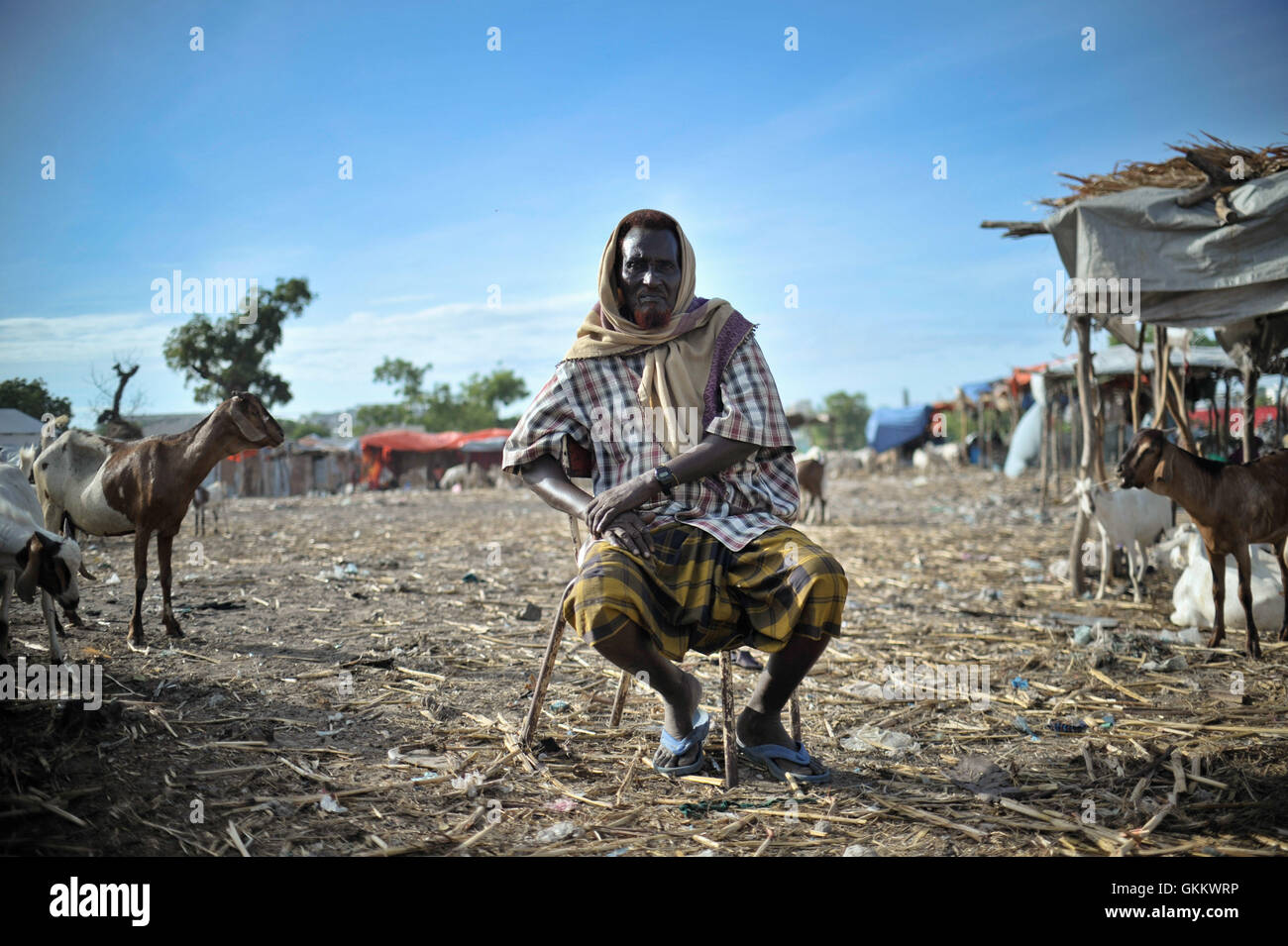 On April 13, a Somali man sits next to his goats at Bakara Animal ...