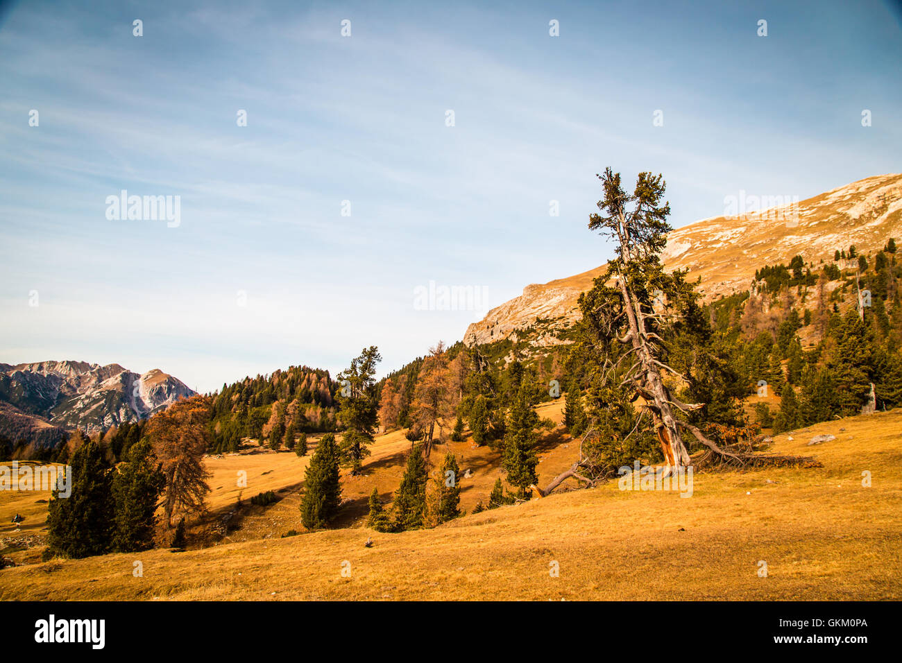 Fall is coming in the italian alps Stock Photo - Alamy