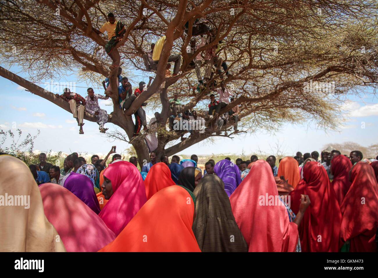 Men sit under a tree waiting for a meeting in Belet Weyne on August 20 ...