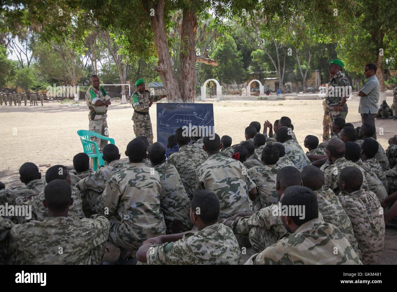 African lama hi-res stock photography and images - Alamy