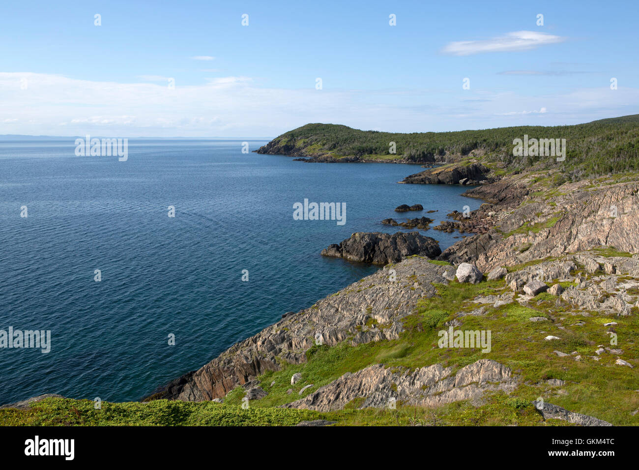 The Newfoundland and Labrador coastline close to Heart's Content ...