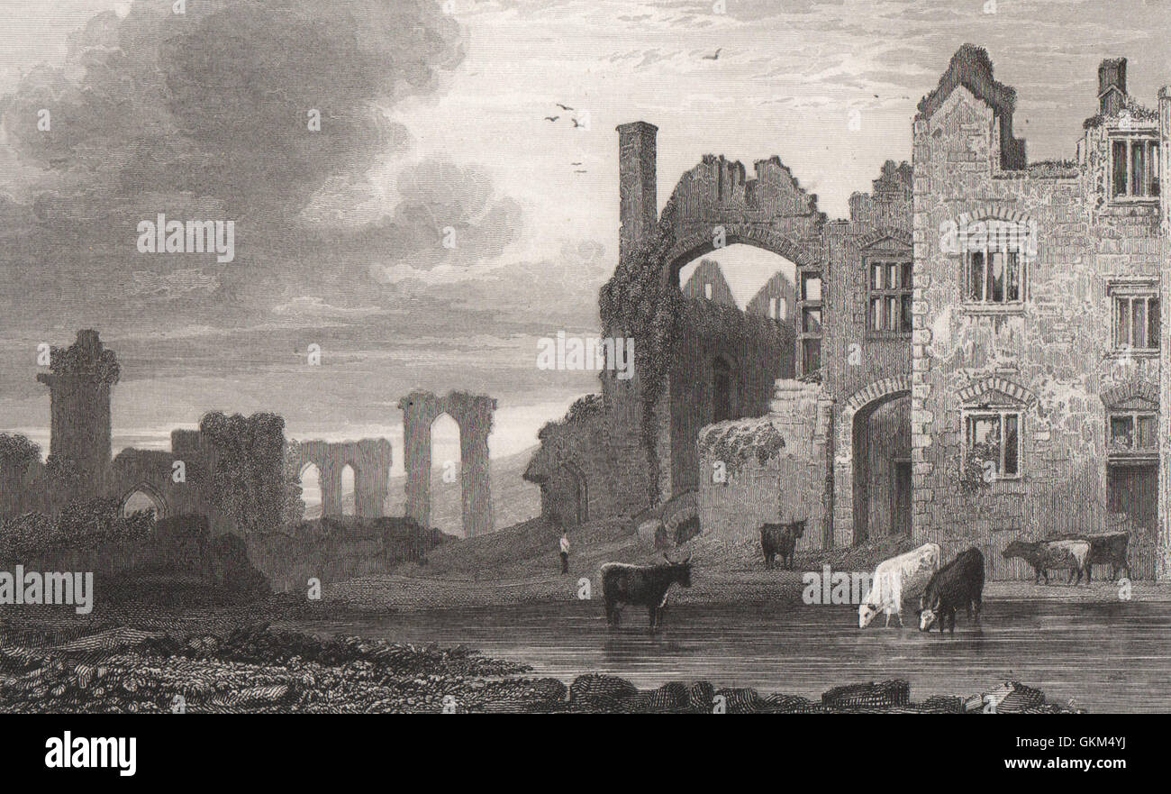 Neath abbey neath south wales hi-res stock photography and images - Alamy