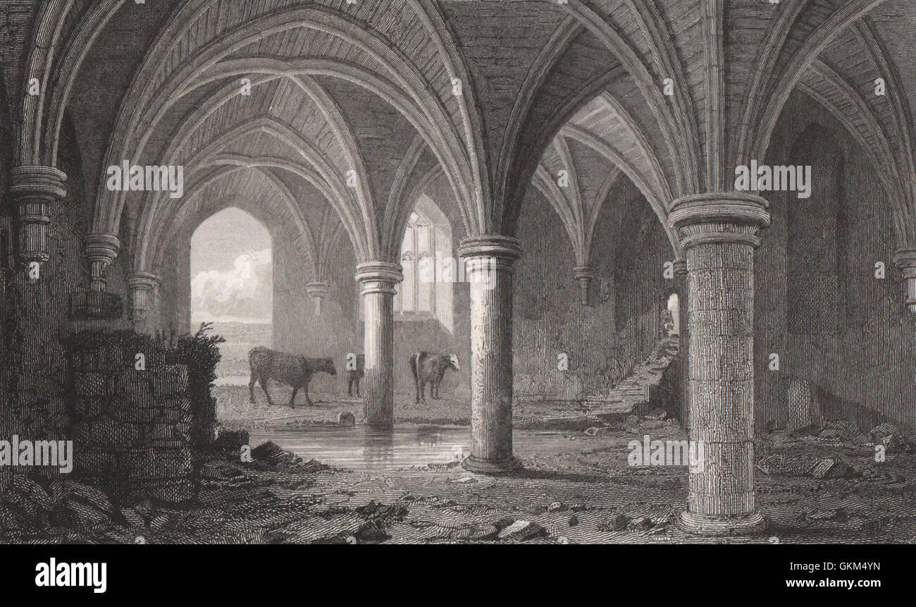 The Crypt, Neath Abbey, Glamorganshire, Wales, by Henry Gastineau ...