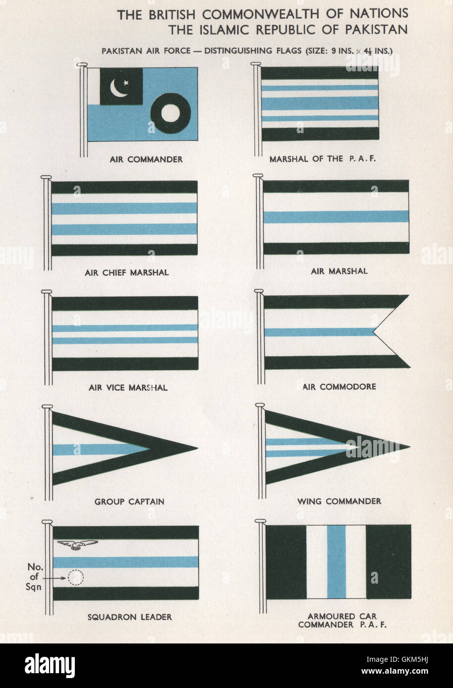 Pakistan Air Force Flag