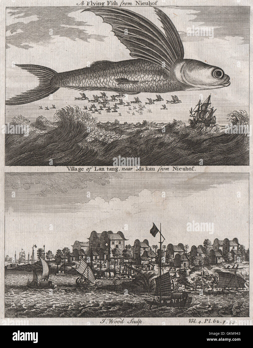 CHINA. Flying Fish. Lantang [LIANTANG] village near Ma kau [MACAU ...