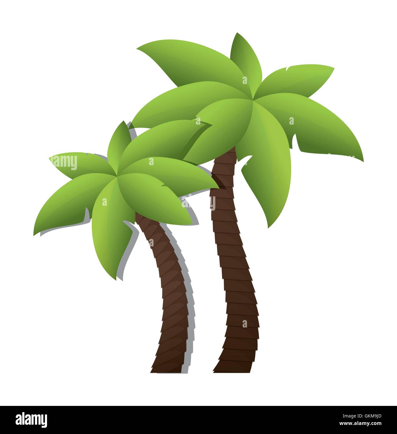 Palm tree nature plant design Stock Vector Image & Art - Alamy