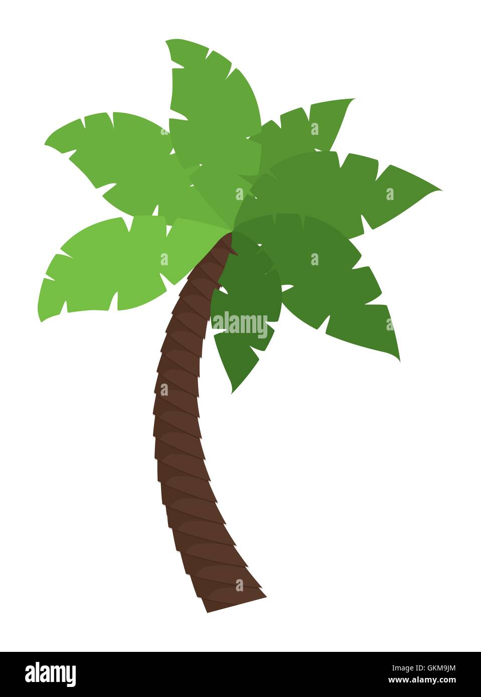 Palm tree nature plant design Stock Vector Image & Art - Alamy