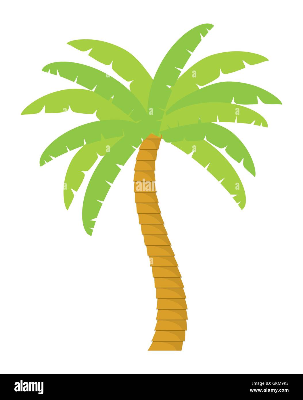 Palm tree nature plant design Stock Vector Image & Art - Alamy