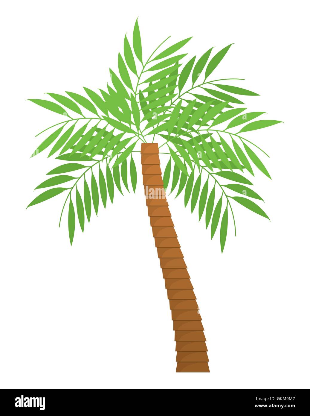Palm tree nature plant design Stock Vector Image & Art - Alamy