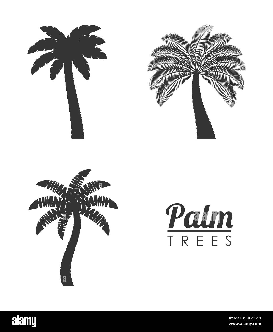 Palm tree nature plant design Stock Vector Image & Art - Alamy