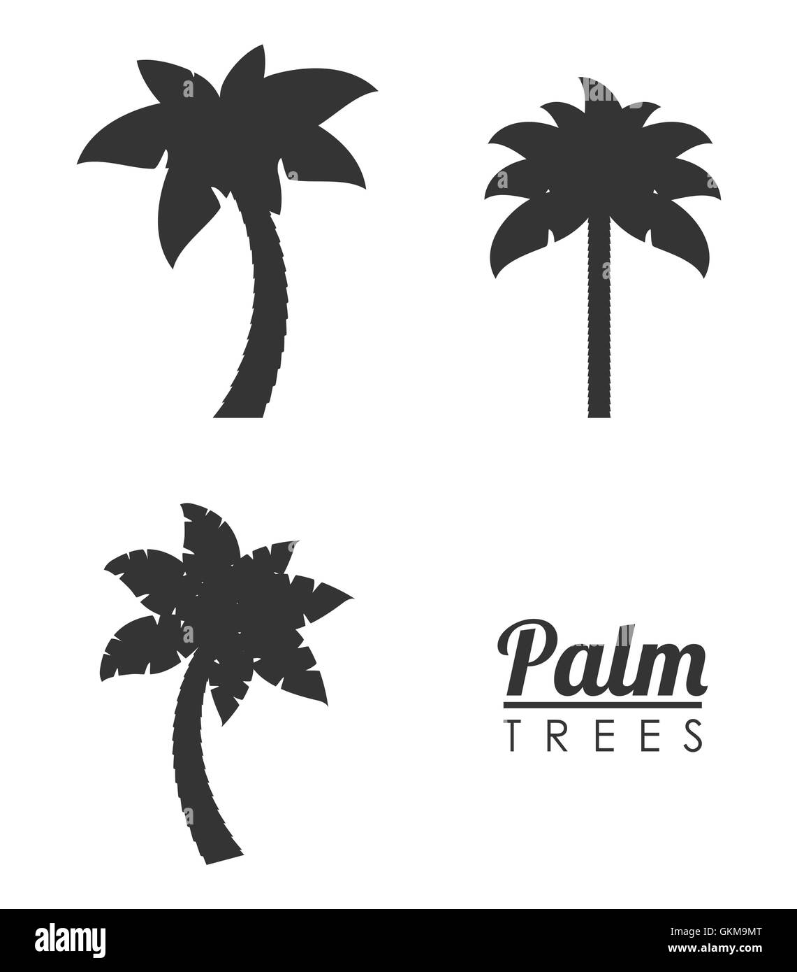 Palm tree nature plant design Stock Vector Image & Art - Alamy