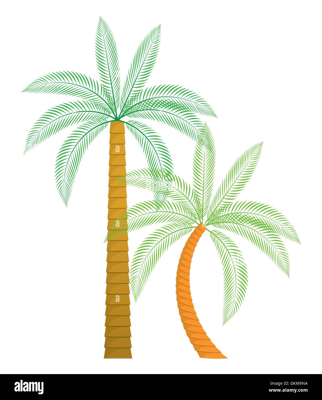 Palm tree nature plant design Stock Vector Image & Art - Alamy