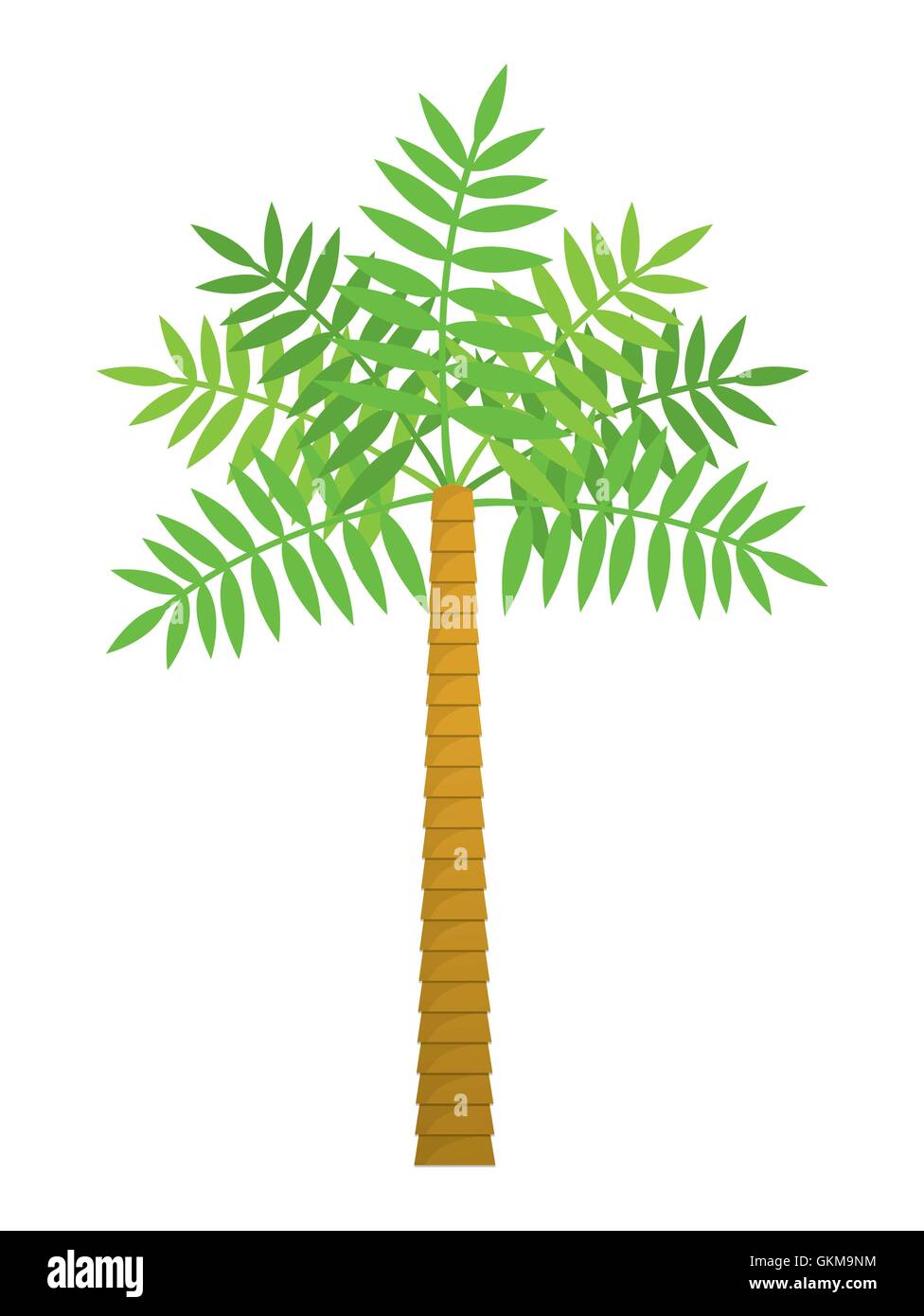 Palm tree nature plant design Stock Vector Image & Art - Alamy