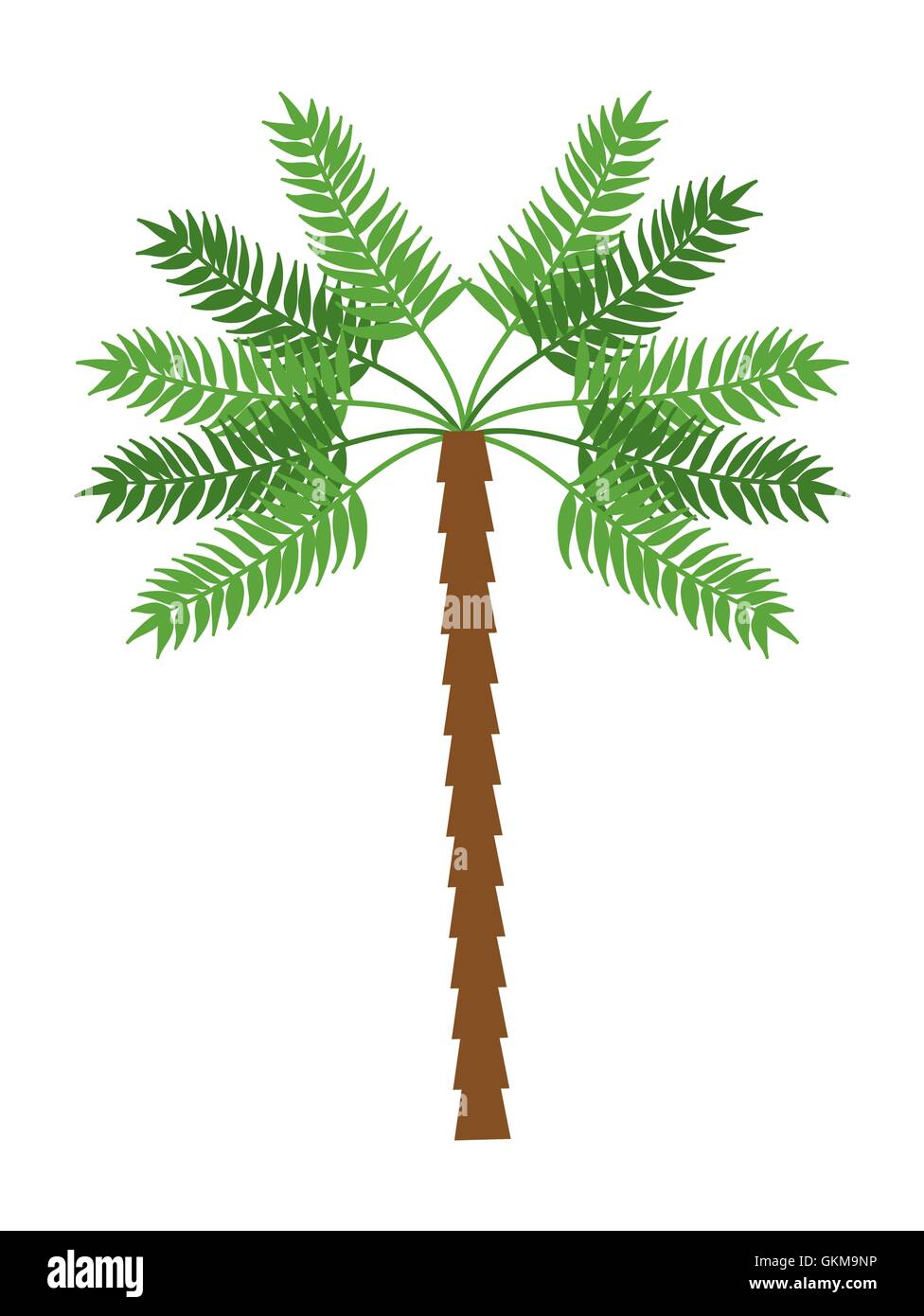Palm tree nature plant design Stock Vector Image & Art - Alamy