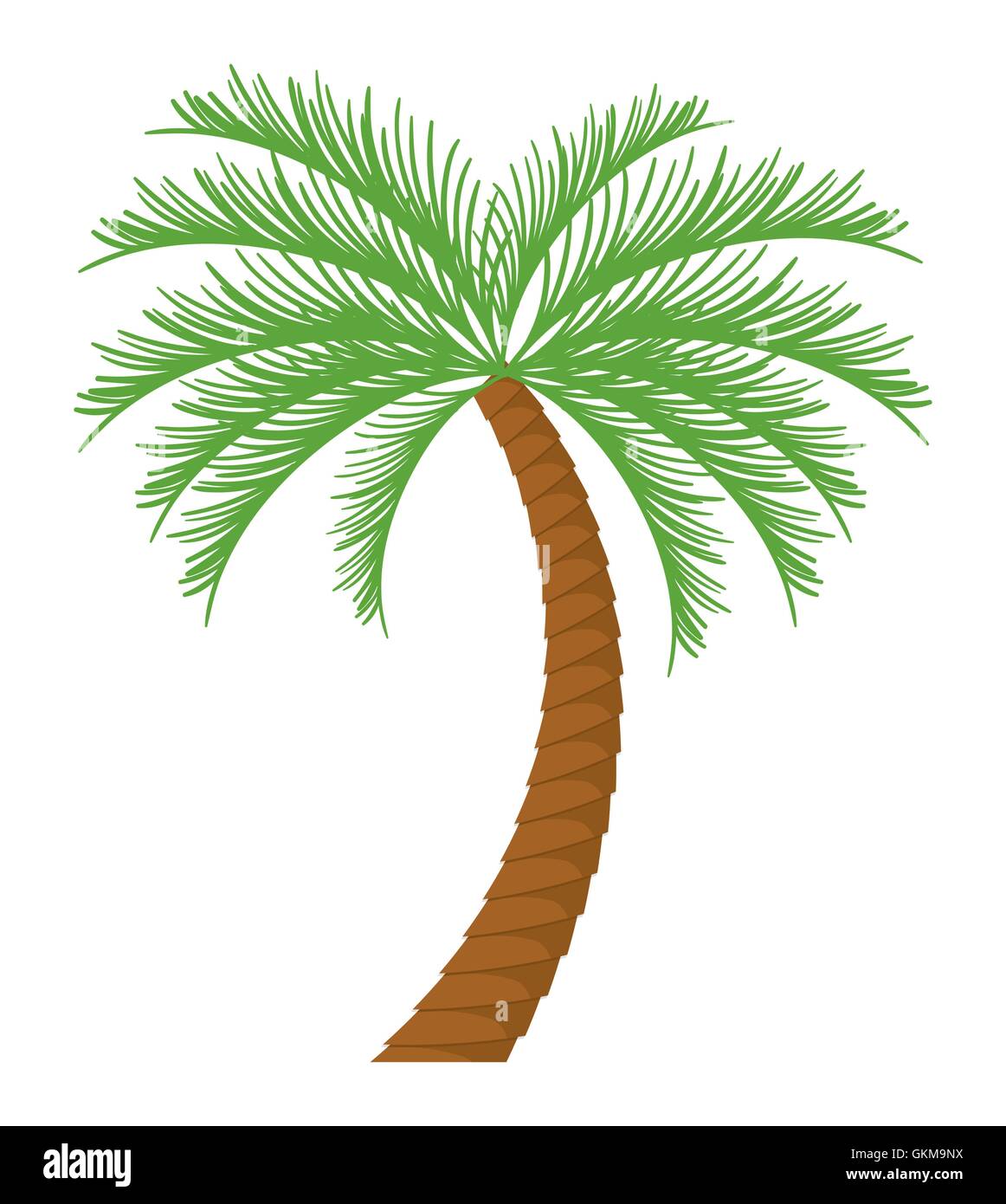 Palm tree nature plant design Stock Vector Image & Art - Alamy