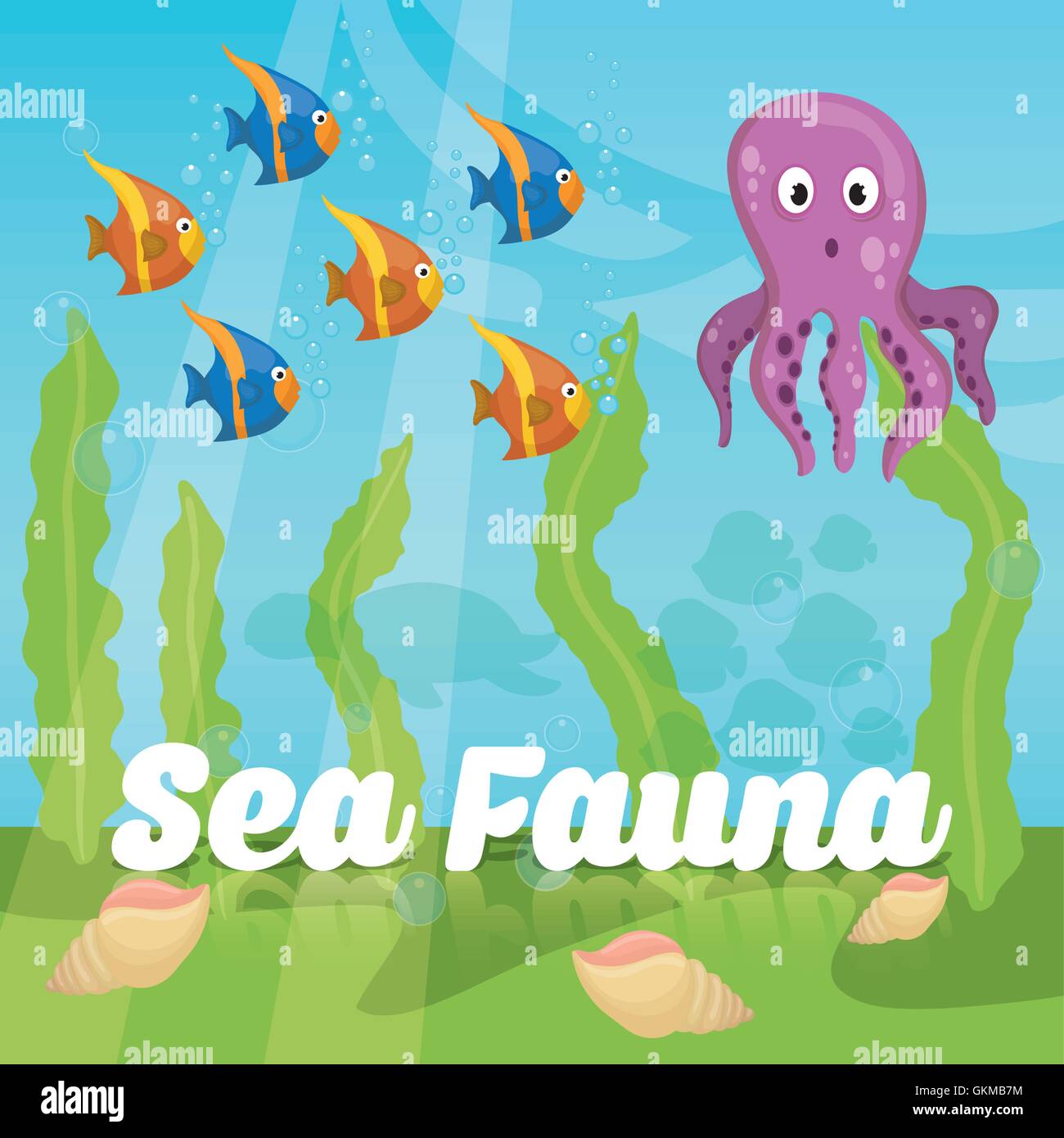 Sea Fauna graphic design, vector illustration Stock Vector Image & Art ...