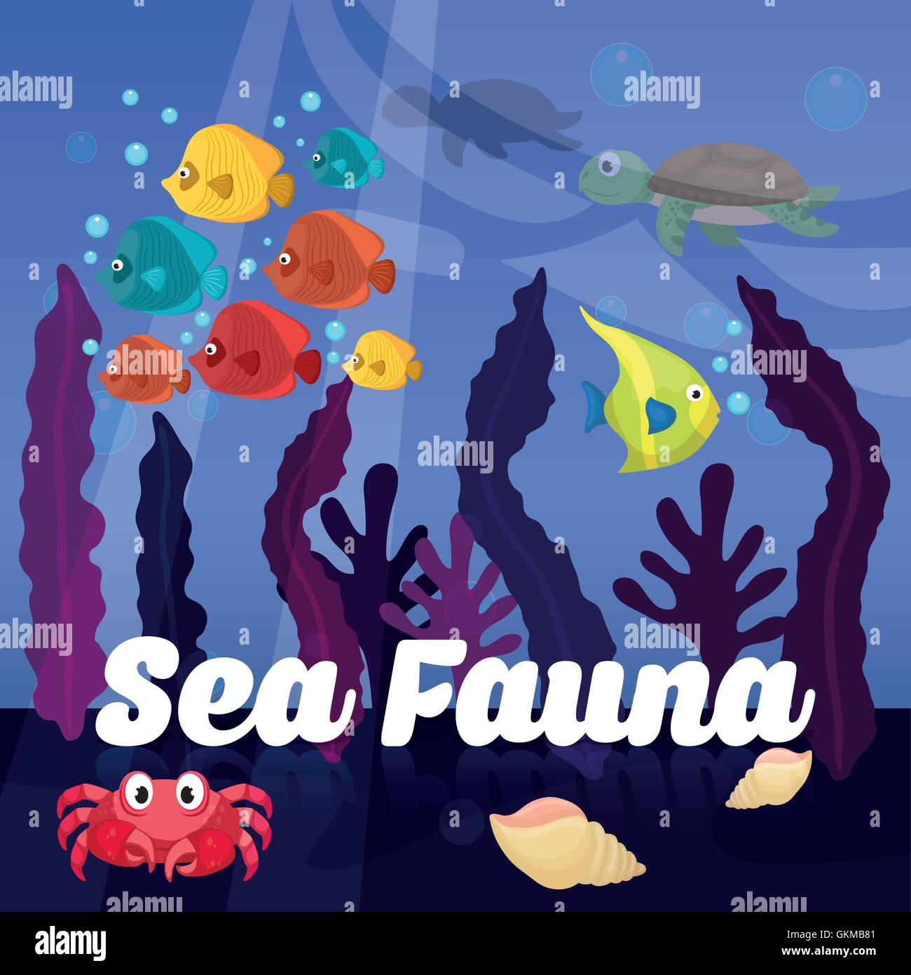 Sea Fauna graphic design, vector illustration Stock Vector Image & Art ...