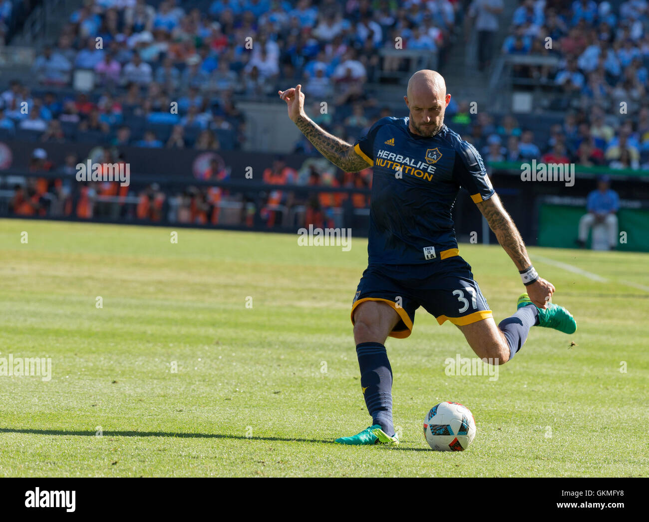 Yankee Stadium, New York, USA. 20th Aug, 2016. Jelle Van Damme (37) of ...
