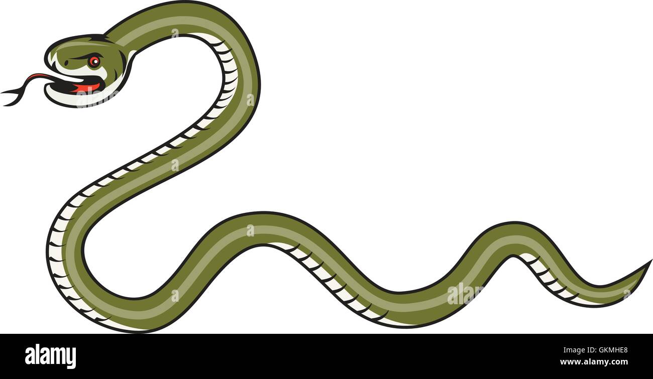 Snake Coil Stock Photos & Snake Coil Stock Images - Alamy