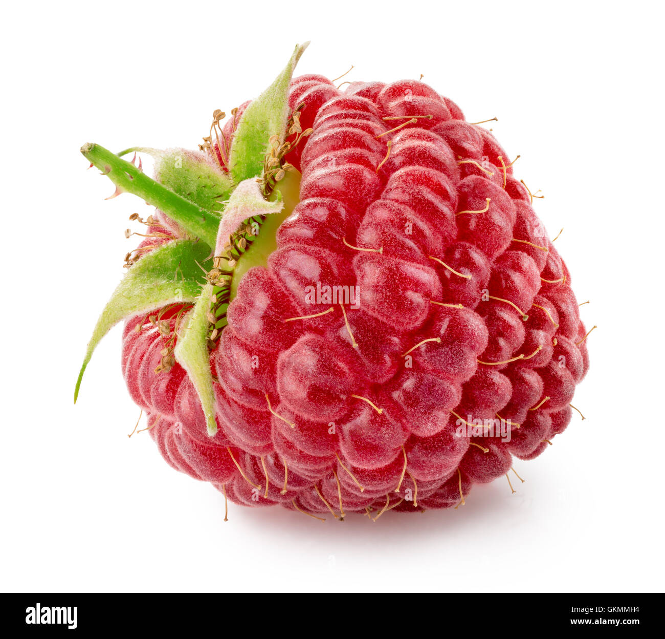 raspberry isolated on the white background Stock Photo - Alamy