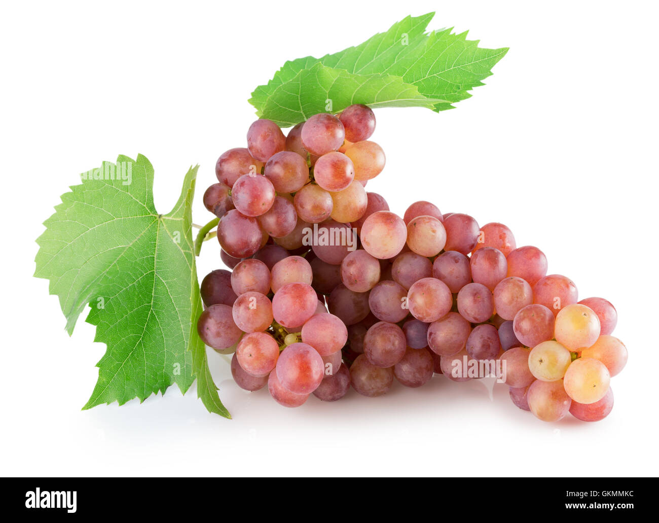 pink grapes on the white background Stock Photo - Alamy