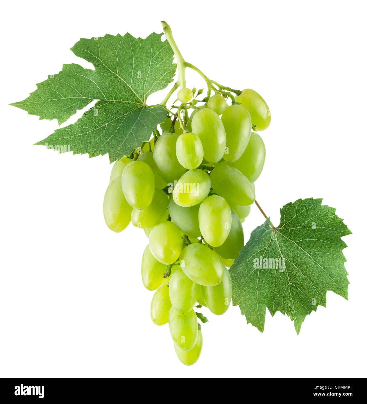 green grapes on the white background Stock Photo - Alamy