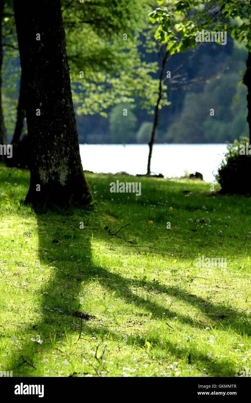 Tree shadow on lake hi-res stock photography and images - Alamy