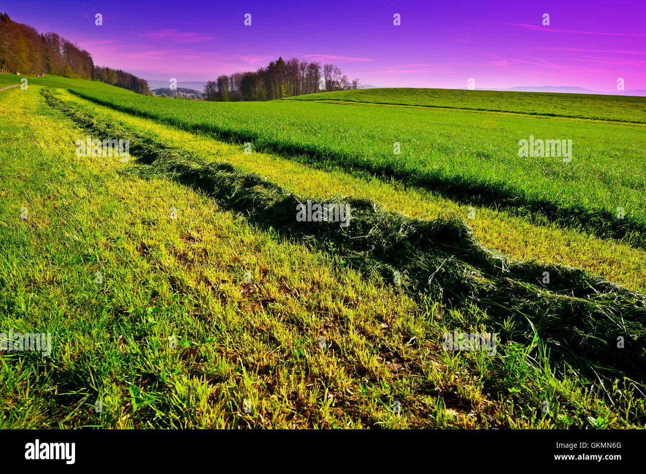 New mown hay hi-res stock photography and images - Alamy