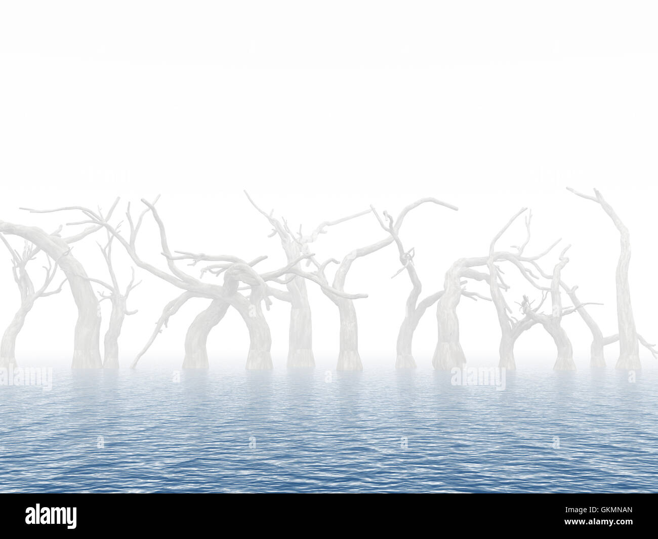 Dead trees in surroundings water as a result of flood on a foggy ...