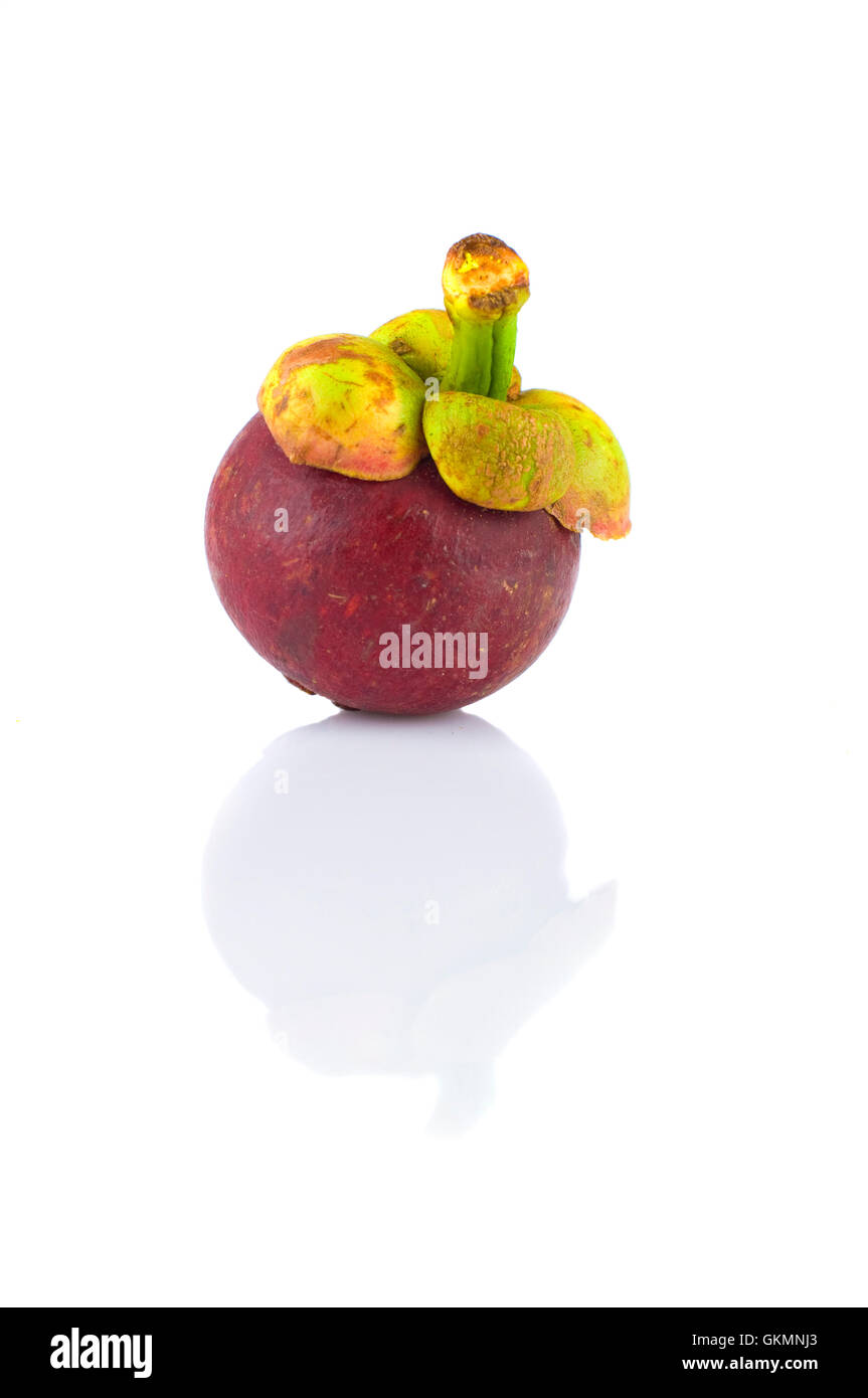a single mangosteen Stock Photo - Alamy