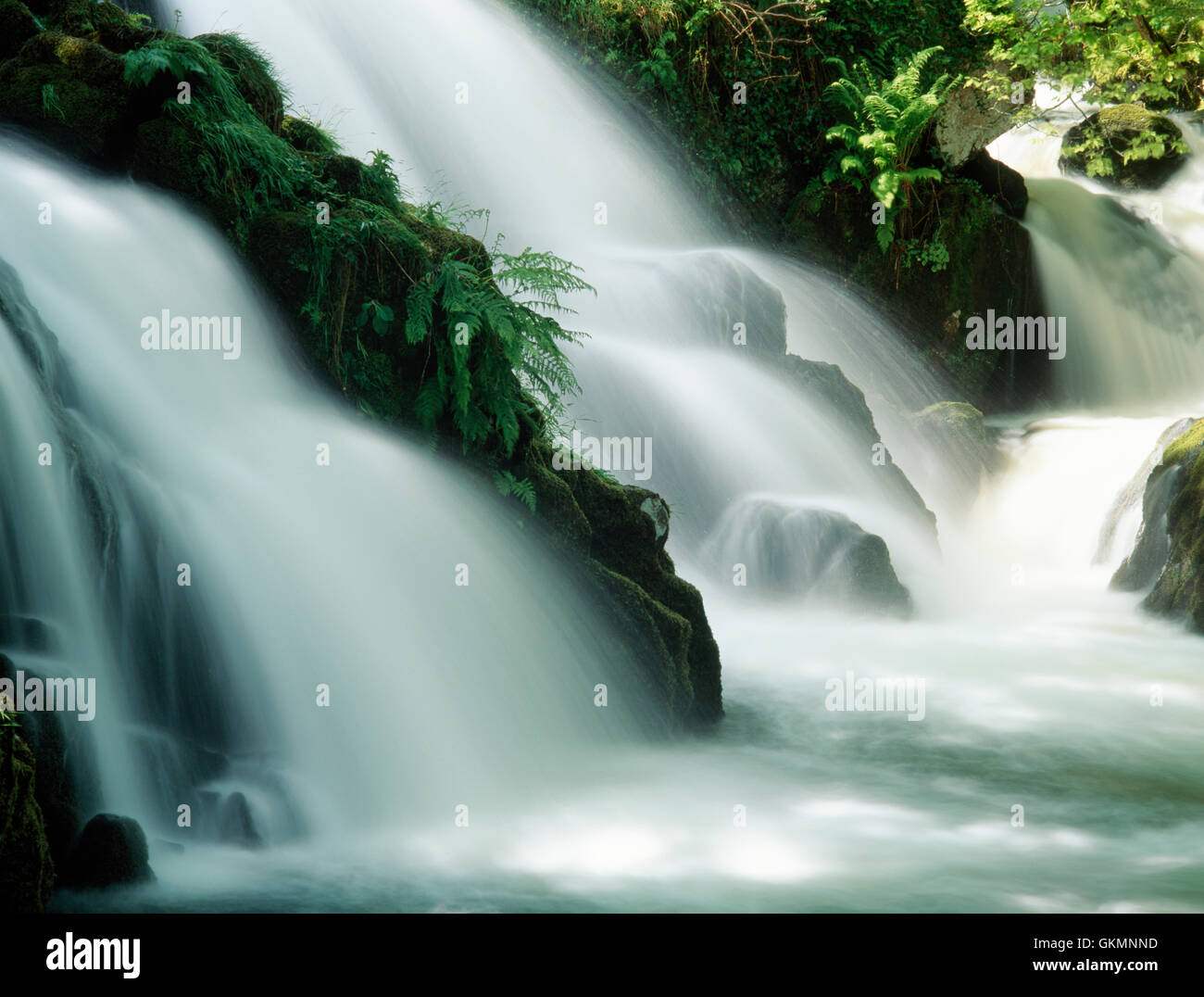 Ceunant Bach waterfall on the Afon Arddu river. A small mountain river ...