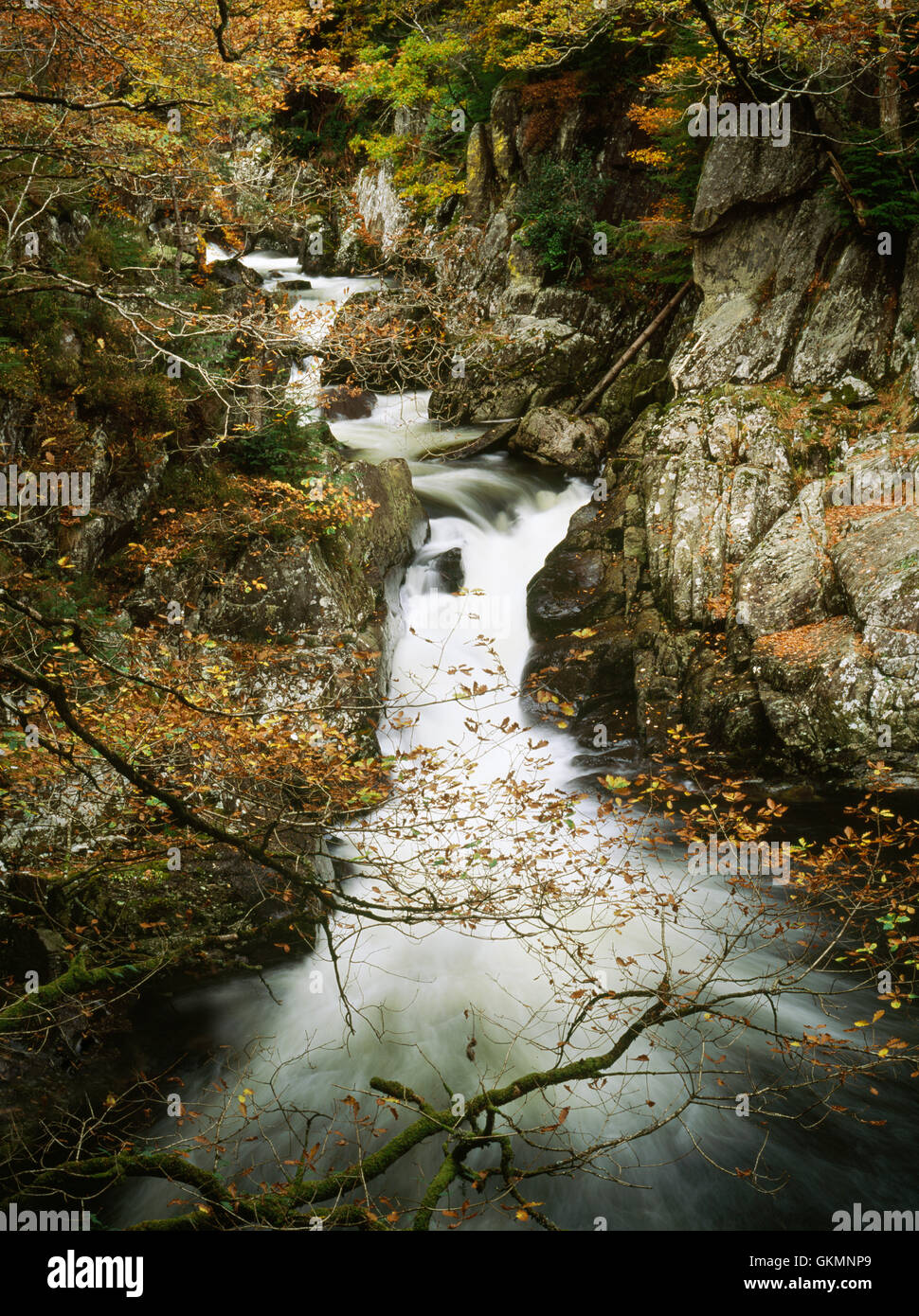 The Afon Llugwy river flowing through rocky ravine upstream from Betws ...