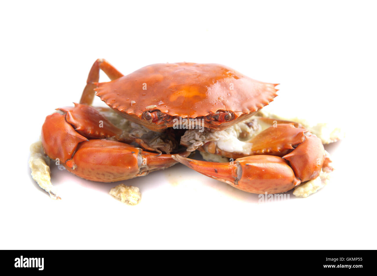 Single claw crab hi-res stock photography and images - Alamy