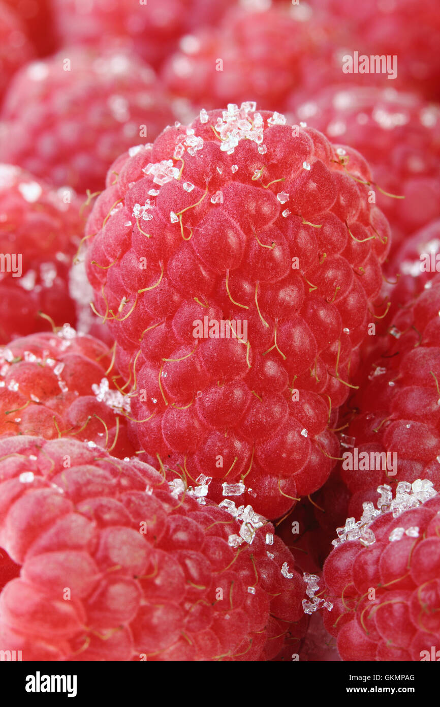 raspberry with sugar Stock Photo - Alamy