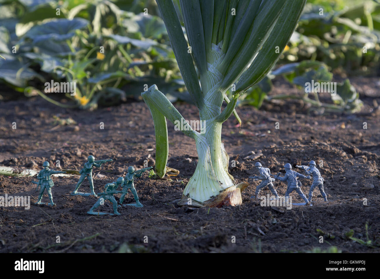 Onion figures hi-res stock photography and images - Alamy