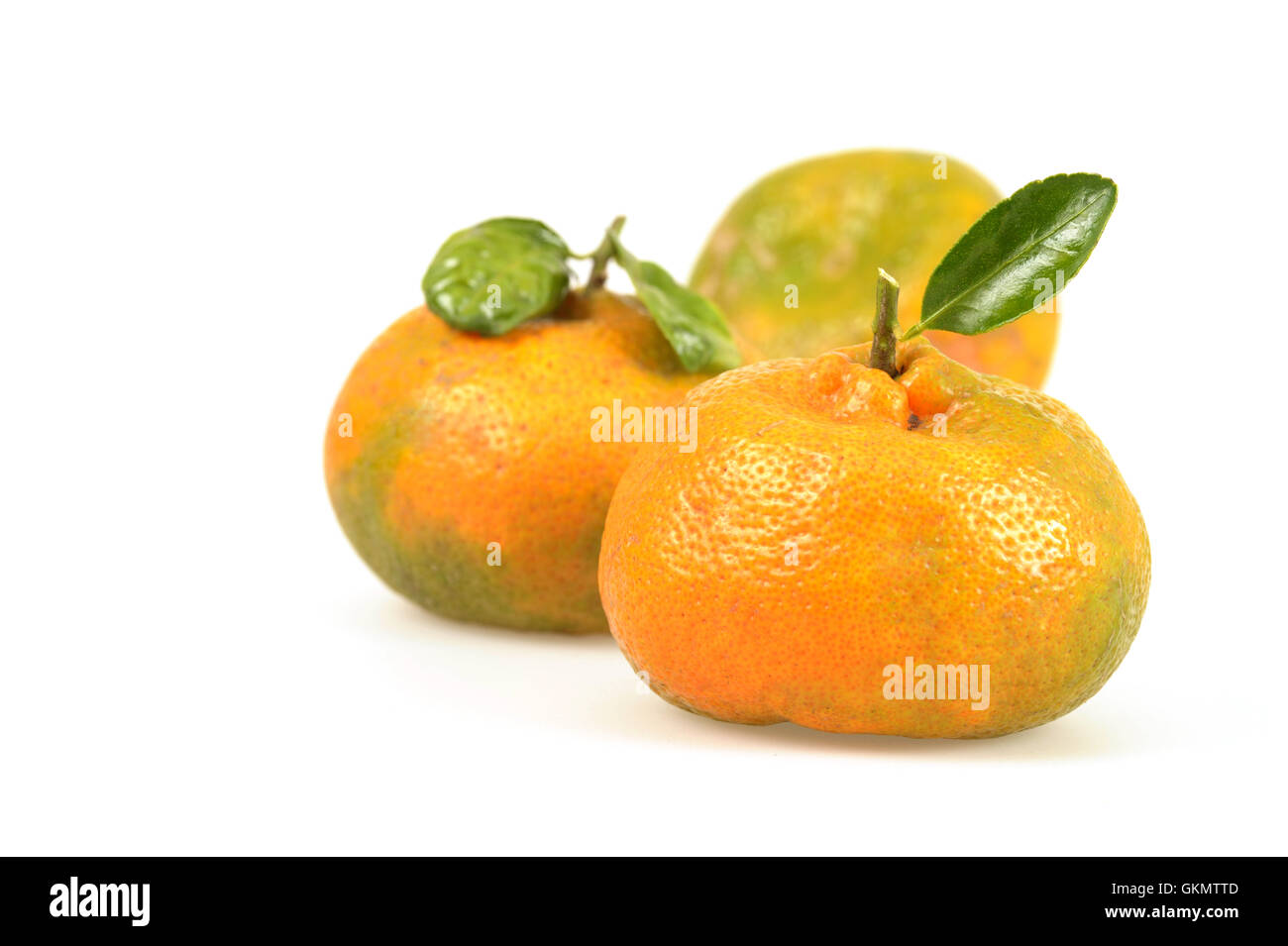 Naturally Ripened Tangerines Stock Photo - Alamy