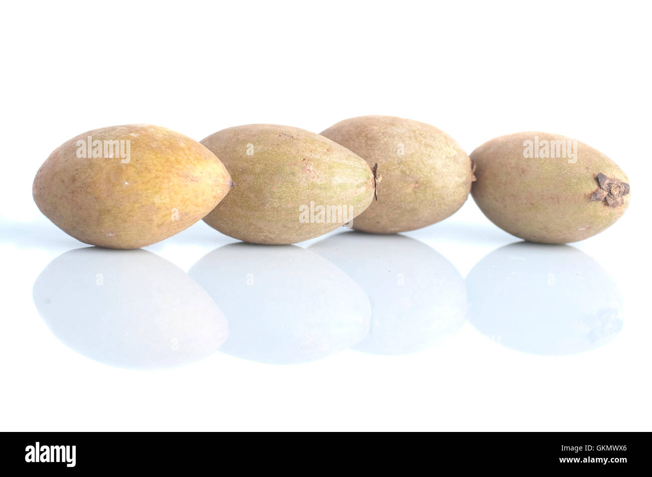 Ciku fruit hi-res stock photography and images - Alamy
