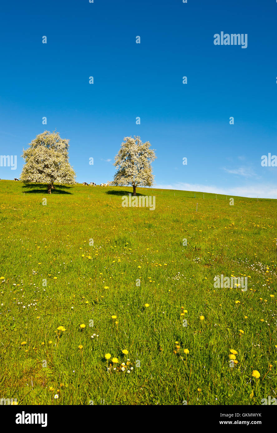 Green sloping meadows hi-res stock photography and images - Alamy