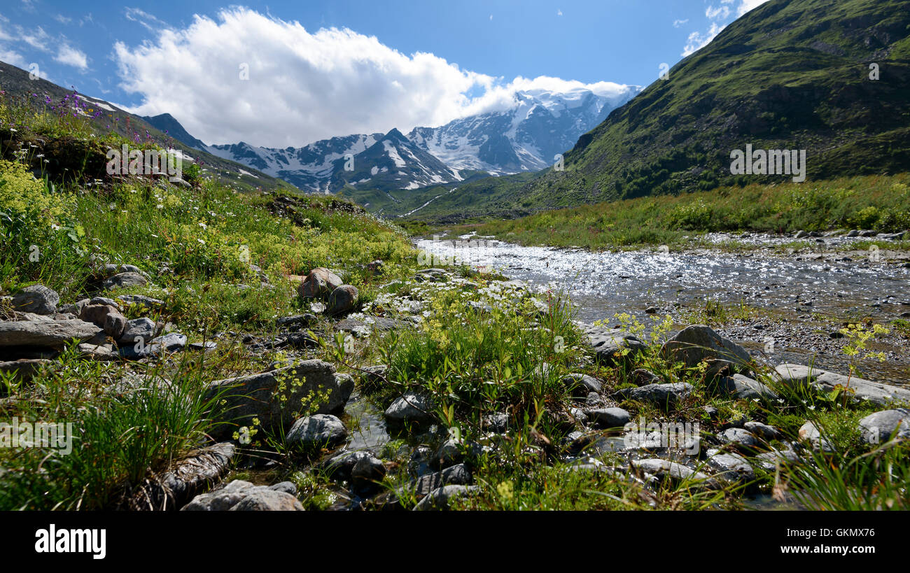 Crystal clear water of river in mountain gorge Stock Photo - Alamy
